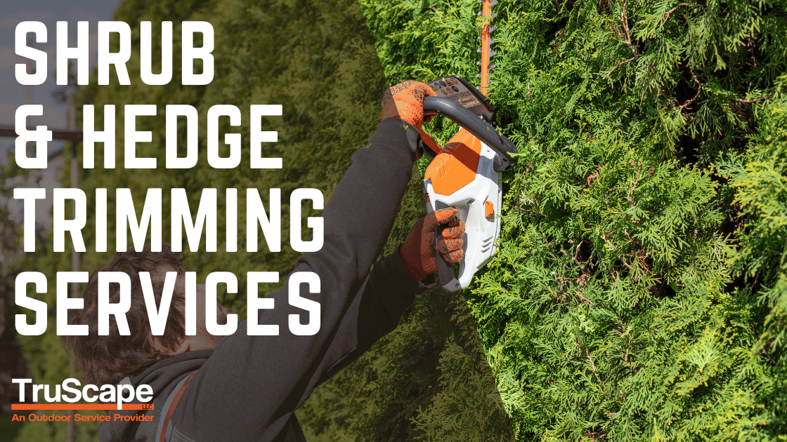 Shrub Trimming | Irwin, PA | TruScape LLC